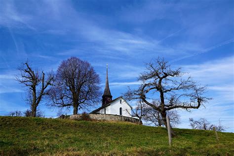 Tree Landscape Grass Free Photo On Pixabay