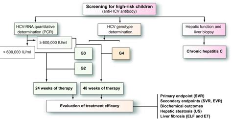 Possible Treatment Algorithm For Combined Therapy Peg Ifn Alfa 2b Plus