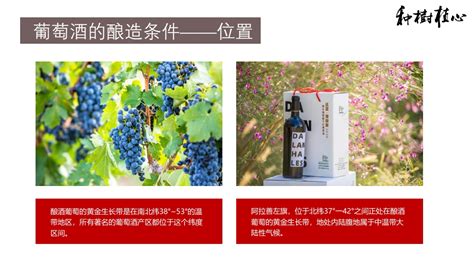 虫拜酒评网