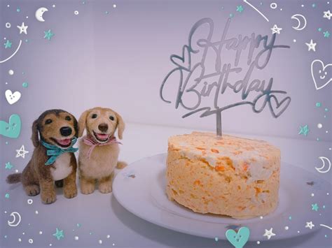 今天是小 Aki 的生日 ️ 也是她去當小天使的第305天。這305天，我們無時無刻都好想念她，而這想念是幸福又正向的力量，隨時陪伴著我們