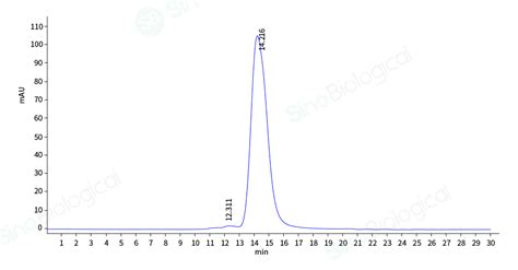 Recombinant Rhesus Mdl 1clec5a Protein 90157 C07h Sino Biological