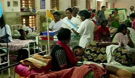Post Floods Kerala Battles Rat Fever Outbreak The Week