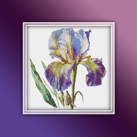 Iris Flower Cross Stitch Pattern 2 Instant PDF Download Purple Flowers Watercolor Cross Stitch