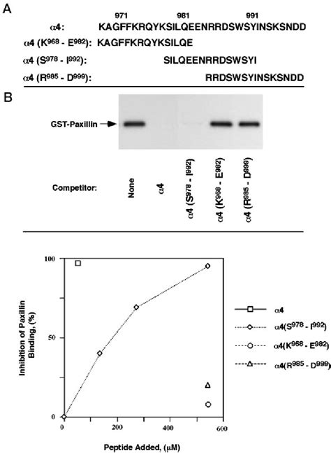 Figure 2 From Paxillin Binding To A Conserved Sequence Motif In The α4