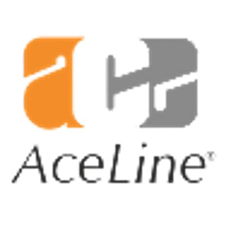 Krishan Kumar Aceline Executive Producer