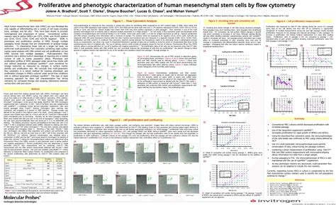 Pdf Proliferative And Phenotypic Characterization Of Human