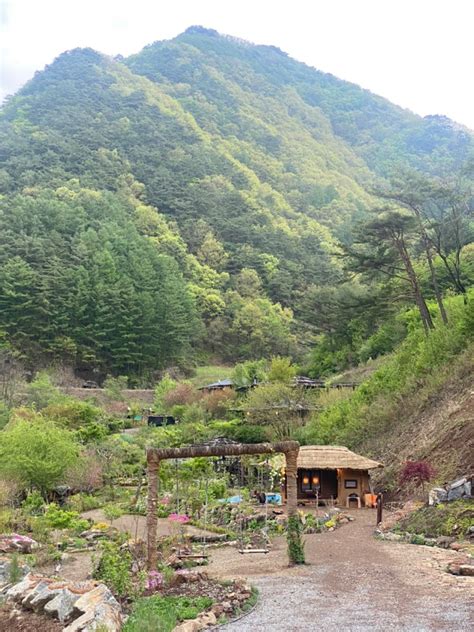 영월 산골초가펜션 별당 자세한 후기 강원도 촌캉스 제대로 즐기기 네이버 블로그