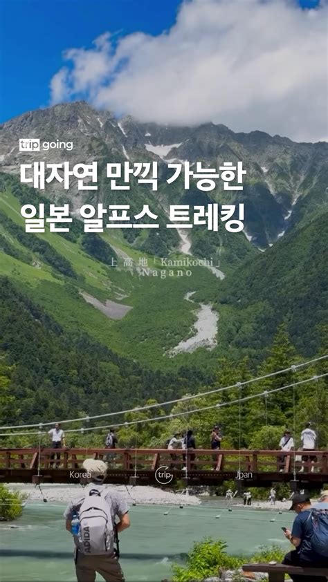 트립고잉 Tripgoing 대자연을 만끽할 수 있는 일본의 ‘가미코치를 소개합니다🌿 나가노현에 위치한 가미코치는 맑은