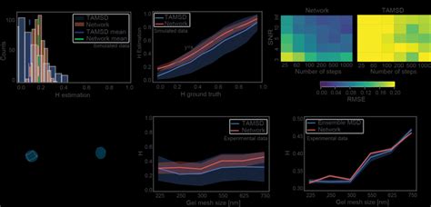 Hurst Exponent H Estimation Network A Comparison To Time Averaged Download Scientific