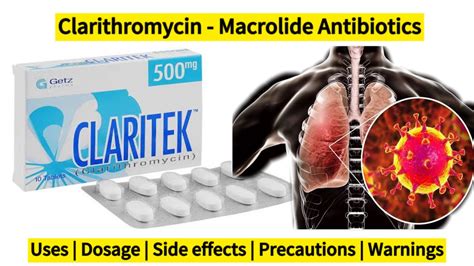 Clarithromycin Macrolide Antibiotic Claritek Use Dosage Side Effect Precaution