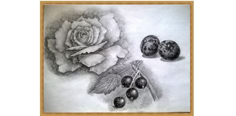 Мои рисунки карандашом Пикабу