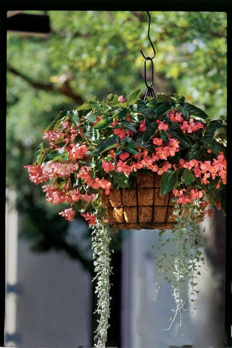 23 Beautiful Hanging Container Garden Ideas Container Gardening