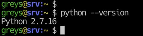 Check Python Version