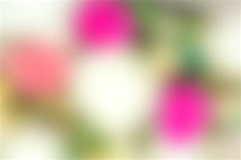 화려한 톤의 보라색 빨간색 흰색과 분홍색의 추상 흐림 배경 가을에 대한 스톡 사진 및 기타 이미지 가을 개념 개념과 주제