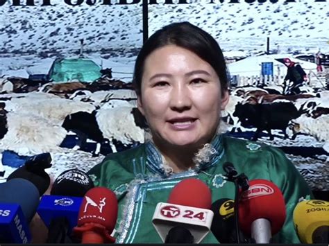 Малчид зээлээ төлж чадахгүй тул зээлийн эрсдлийн даатгалаар нь