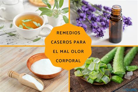 5 efectivos métodos para eliminar el mal olor del pene de forma natural