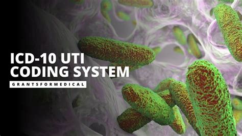 Icd 10 Uti Coding System Grants For Medical Icd 10 Uti Coding System Grants For Medical