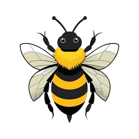 Bombus Terrestris Creative Design 58981819 Vector Art At Vecteezy