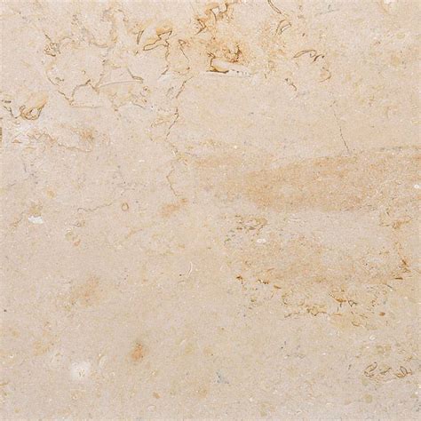 Seashell Limestone Marmosium