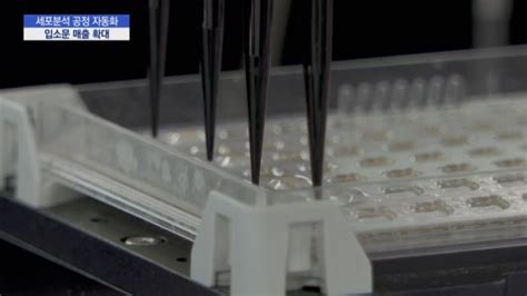 점프업바이오 큐리옥스 세포분석 공정 고정관념 깨고 글로벌 판도 바꾼다