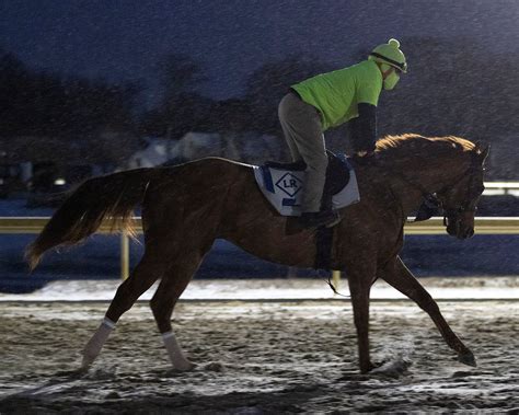 Sand Devil Gets One More Triple Crown Tune Up In Damon Runyon