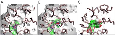 Identify Novel Compounds And Increase The Diversity Of Your Ligand Modifications Using Fragment