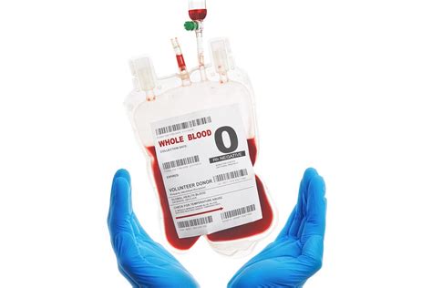 Cardiovascular System Part 1 Blood Nlorem