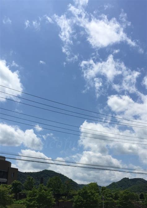 今年の夏こそブヨ対策 キャンプなどへ行く万全持ち物リスト ハッカ油 シーブリーズもおすすめ Happy Smile Happy