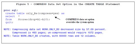 Using Data Set Options In PROC SQL SAS Training Institute Learn SAS Courses Certification