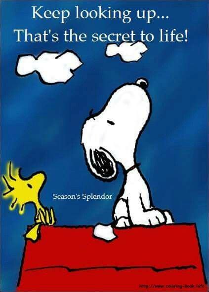 Funny Cartoons Cartoons Comics Funny Christian Pictures Disney Pictures Cute Pictures