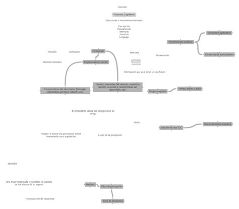 Procesos Cognitivos Percepción Pensamientos Positivos Terapia Cognitiva