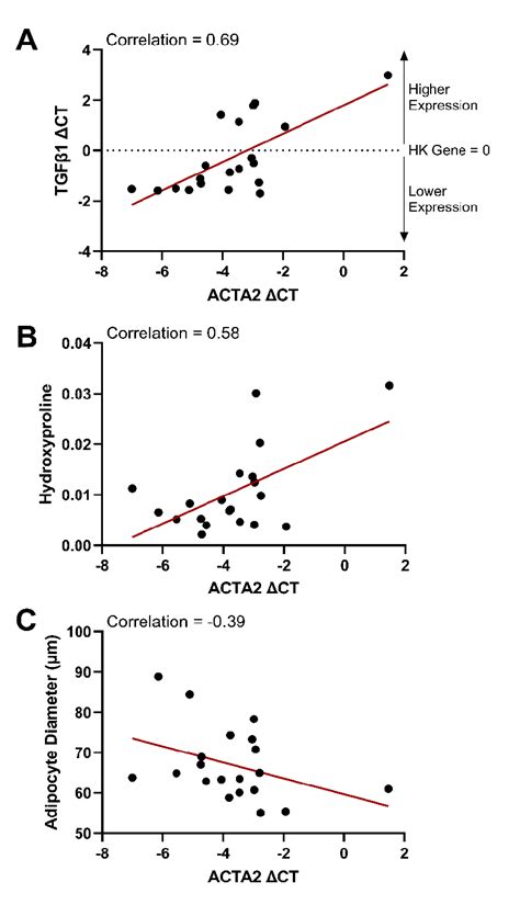 Increased Gene Expression Of Actin Alpha 2 Smooth Muscle Acta2 Gene Download Scientific