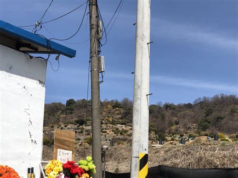 아침 일찍일어나 겨란만 먹고 너댓시간 풀뽑고 댕김 오덕양성소 에펨코리아