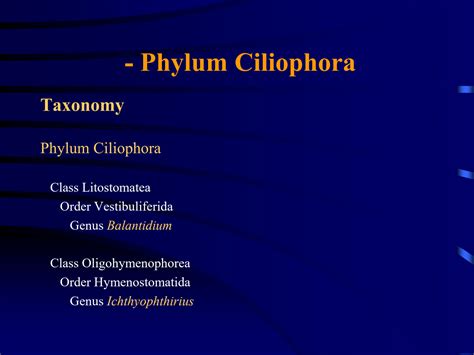 Solution Phylum Ciliophora Studypool