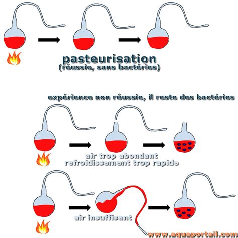 Pasteurisation Définition Et Explications