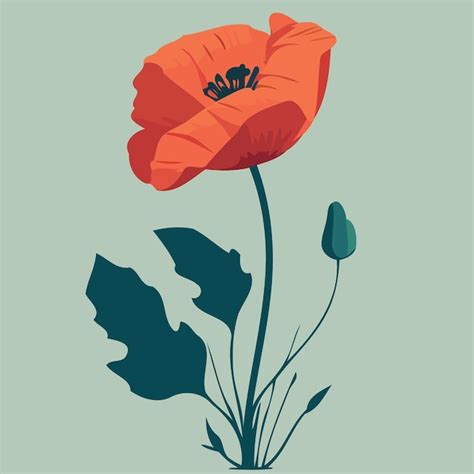 Una Flor De Amapola Roja Vector Premium