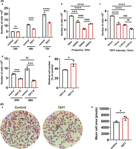 Tumor‐suppressing Effect In Vitro Under Different Parameters And Output Download Scientific