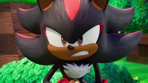 Shadow T Hedgehog Shadow The Hedgehog Shadow Hedgehog