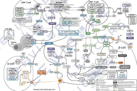 Shmuel Levit Md Phd On Linkedin Do You Know That Dpp 4i Has An
