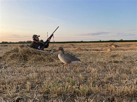 Layout Blind Wetland Camouflage Lokganzen Goosehunting