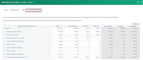 Enhancing Workday Worktags With Embedded Reports Information Technology