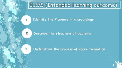 Solution Introduction Bacterial Structures Studypool