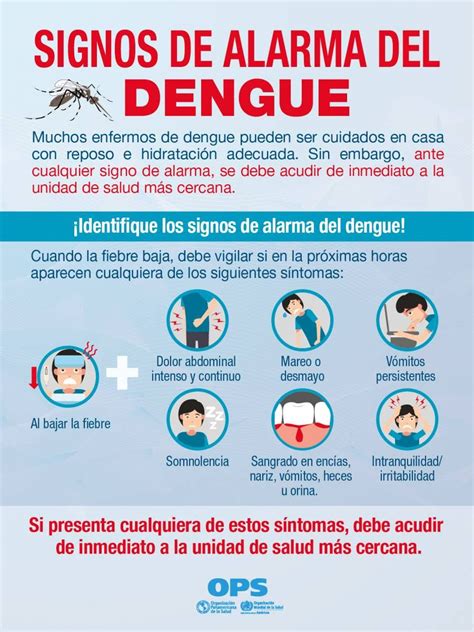 Estos Son Los Síntomas Del Dengue Y Así Puedes Prevenirlo