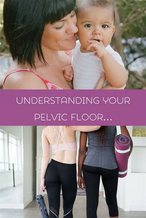 Understanding Your Pelvic Floor Pelvic Floor Online Pilates