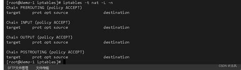 iptables 使用与简单示例 iptables v1 4 21 CSDN博客