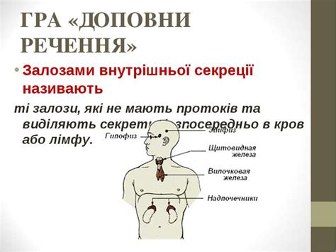 Порушення функцій ендокринної системи презентація з біології