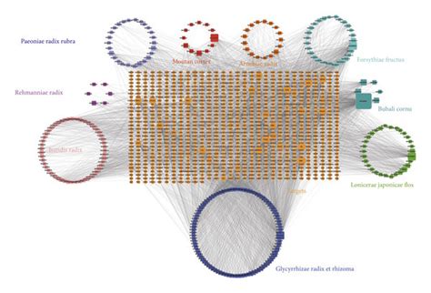 Construction Of The QBF Compound Potential Target Network The