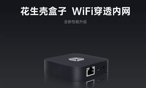 如何保障内网安全？如何使用外网连接内网服务器？ 贝锐花生壳官网