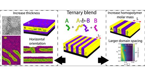 Film Thickness And Composition Effects In Symmetric Ternary Block Copolymerhomopolymer Blend