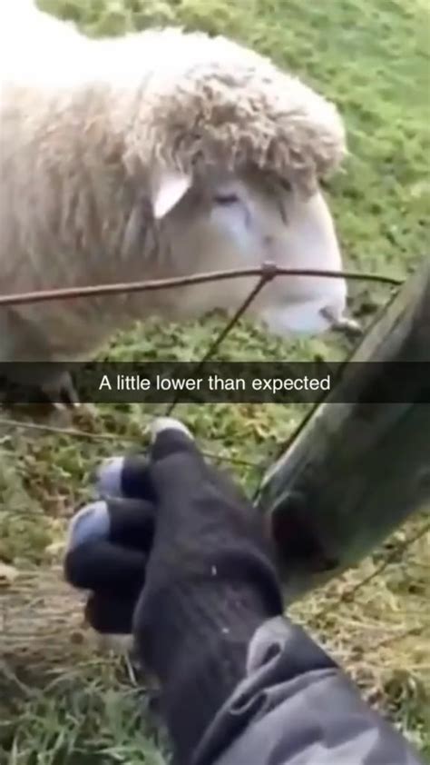 Puberty Hits Runexpected